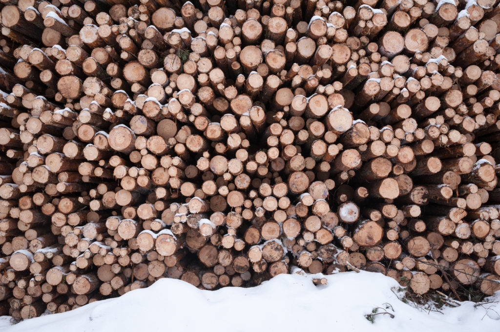 Finnish UPM sells over 21,000ha of timberland to United Banker