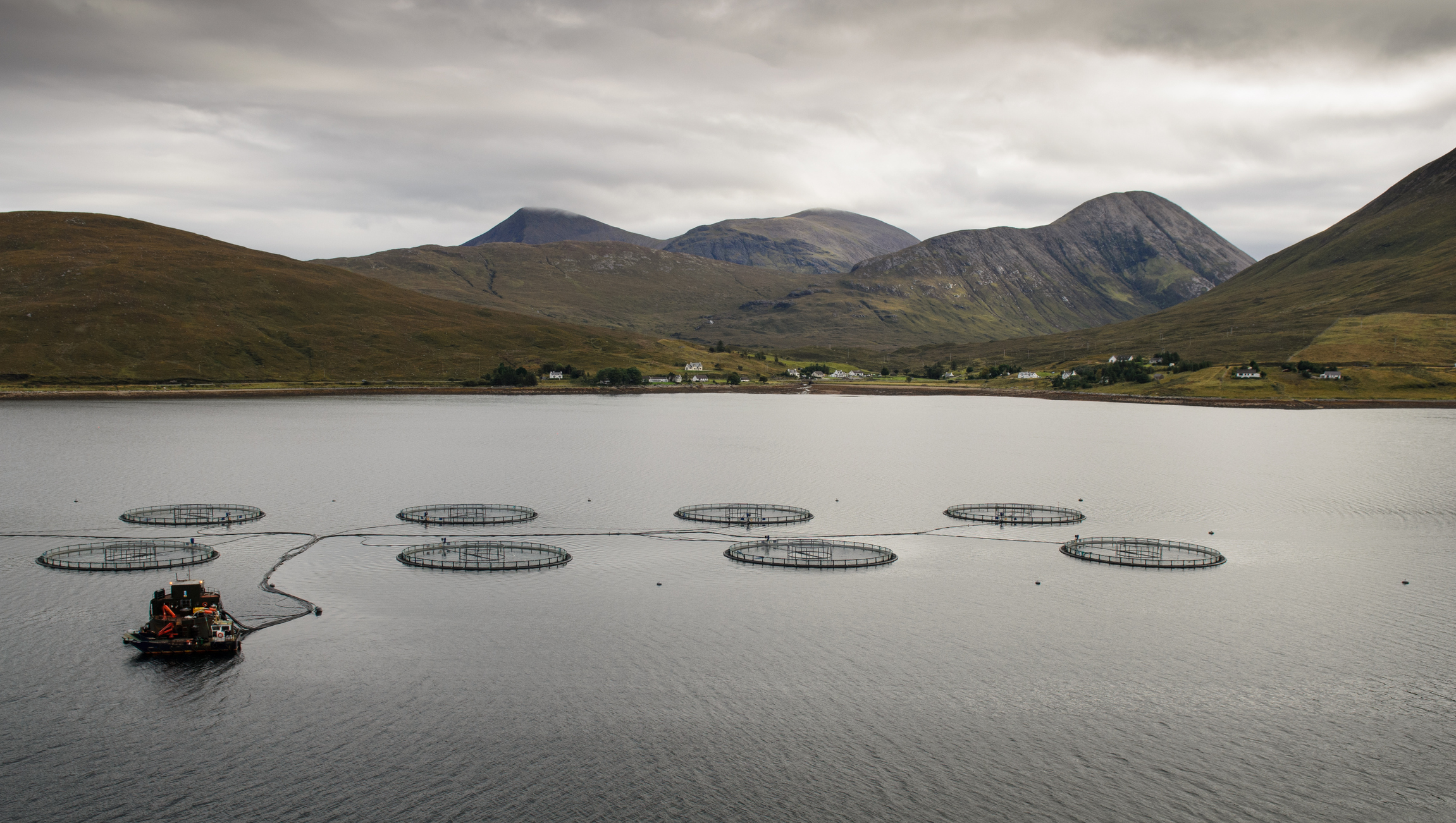 Finding a place for aquaculture