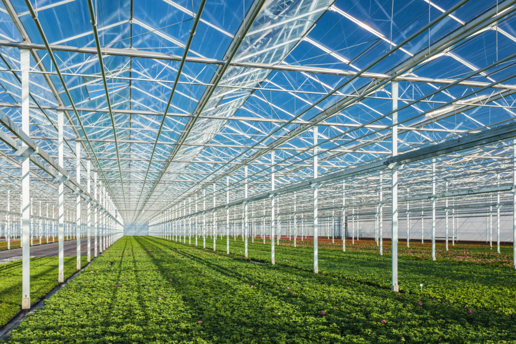 ‘Huge patent portfolio’ draws Ceres Partners to agtech firm | Agri Investor