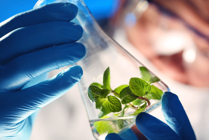 Ospraie Ag Science leads $45m Series B for Terramera | Agri Investor