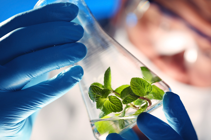 Ospraie Ag Science leads $45m Series B for Terramera | Agri Investor