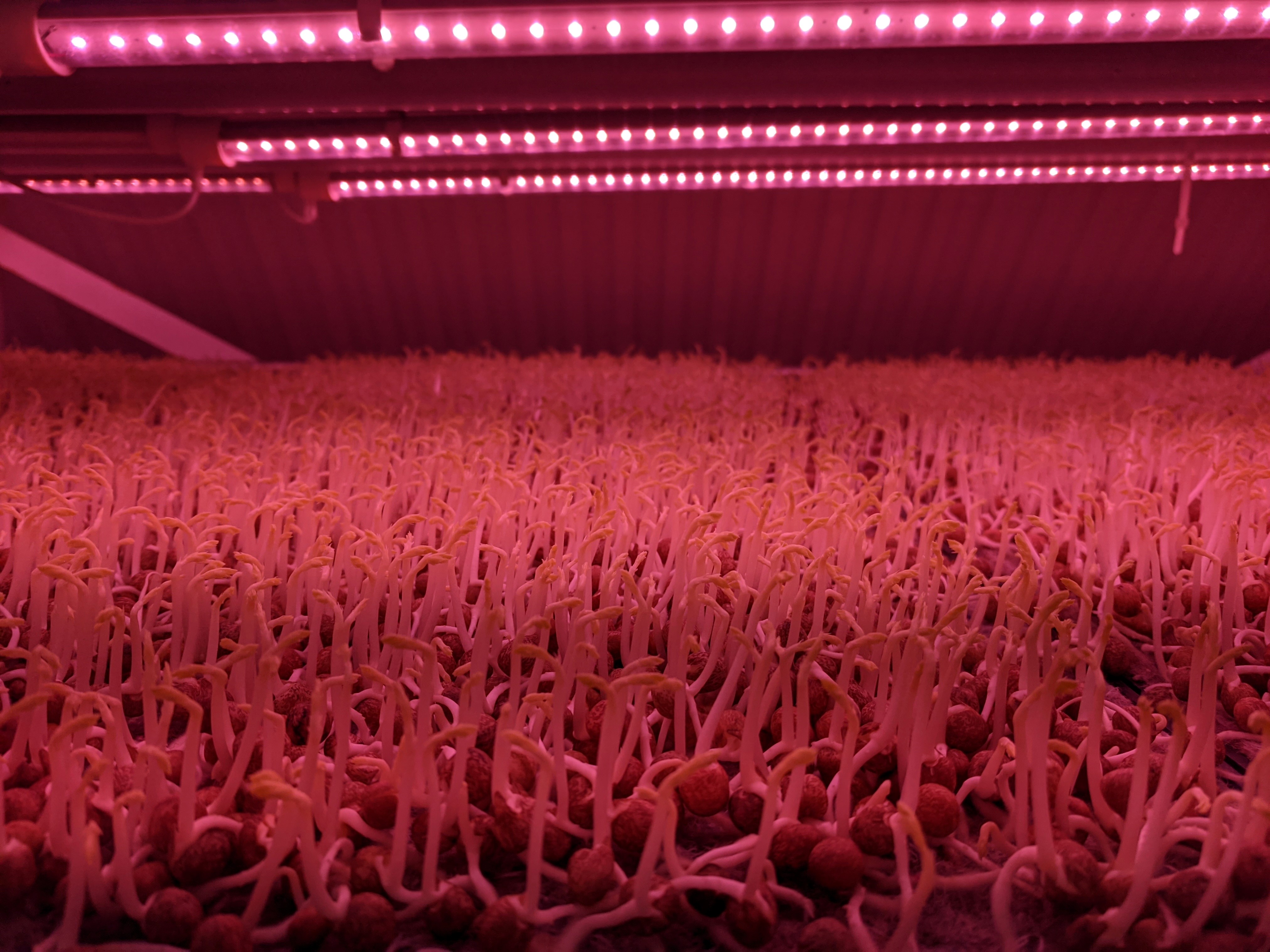 Growing Underground kicks off £15m Series A – exclusive