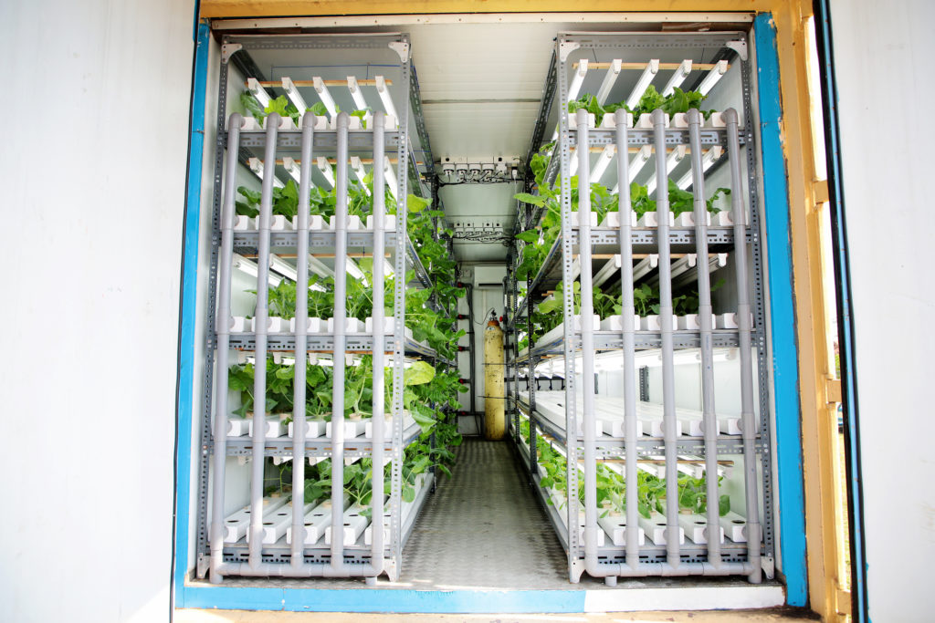 Ospraie backs CubicFarms’ indoor ag systems with C$5m | Agri Investor