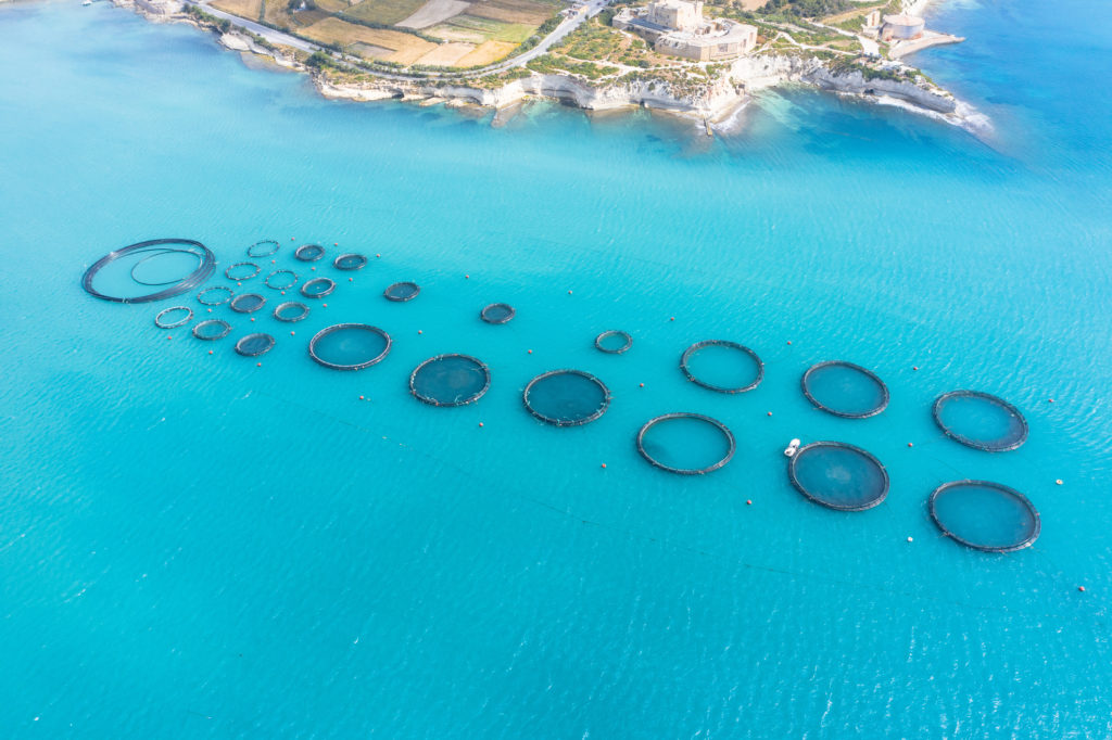 Hatch Blue hits €75 million second close for Fund II