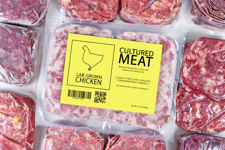 Eat Just: How long will its lead in cultured meats last? | Agri Investor