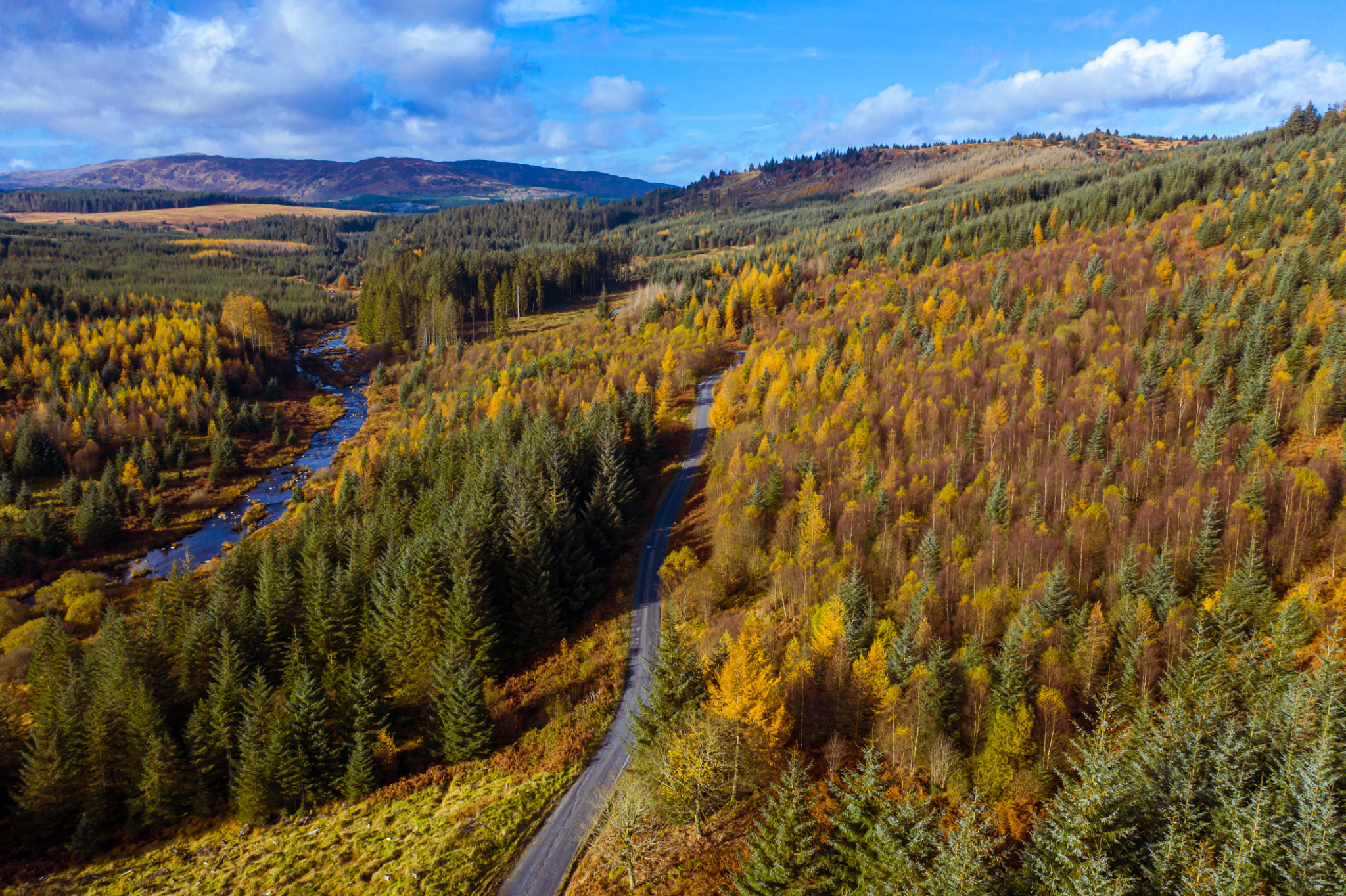 Stafford Capital Partners establishes $1.2bn forestry continuation fund