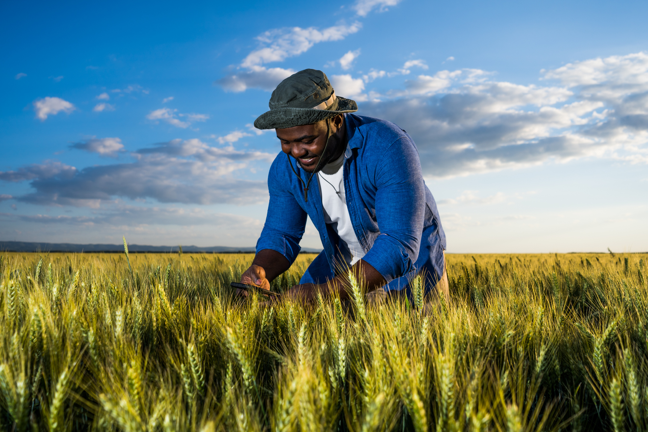 McKinsey on Black farmers’ challenges and opportunities | Agri Investor