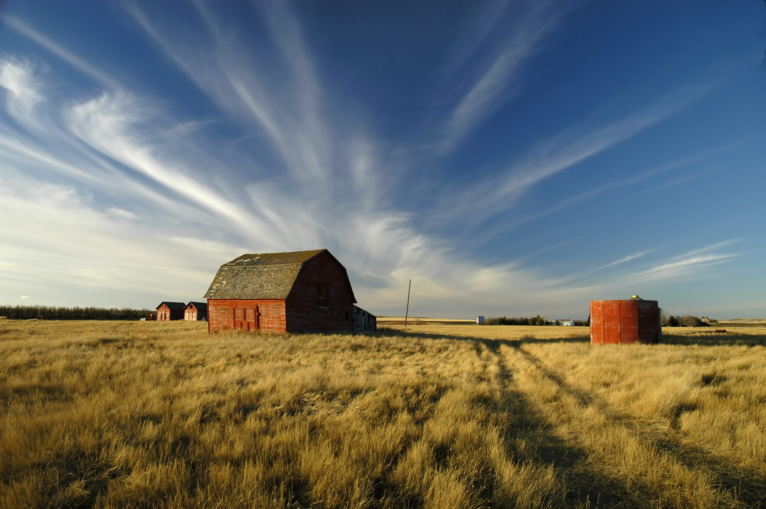 Area One narrows strategy to close Fund IV on C$310m | Agri Investor