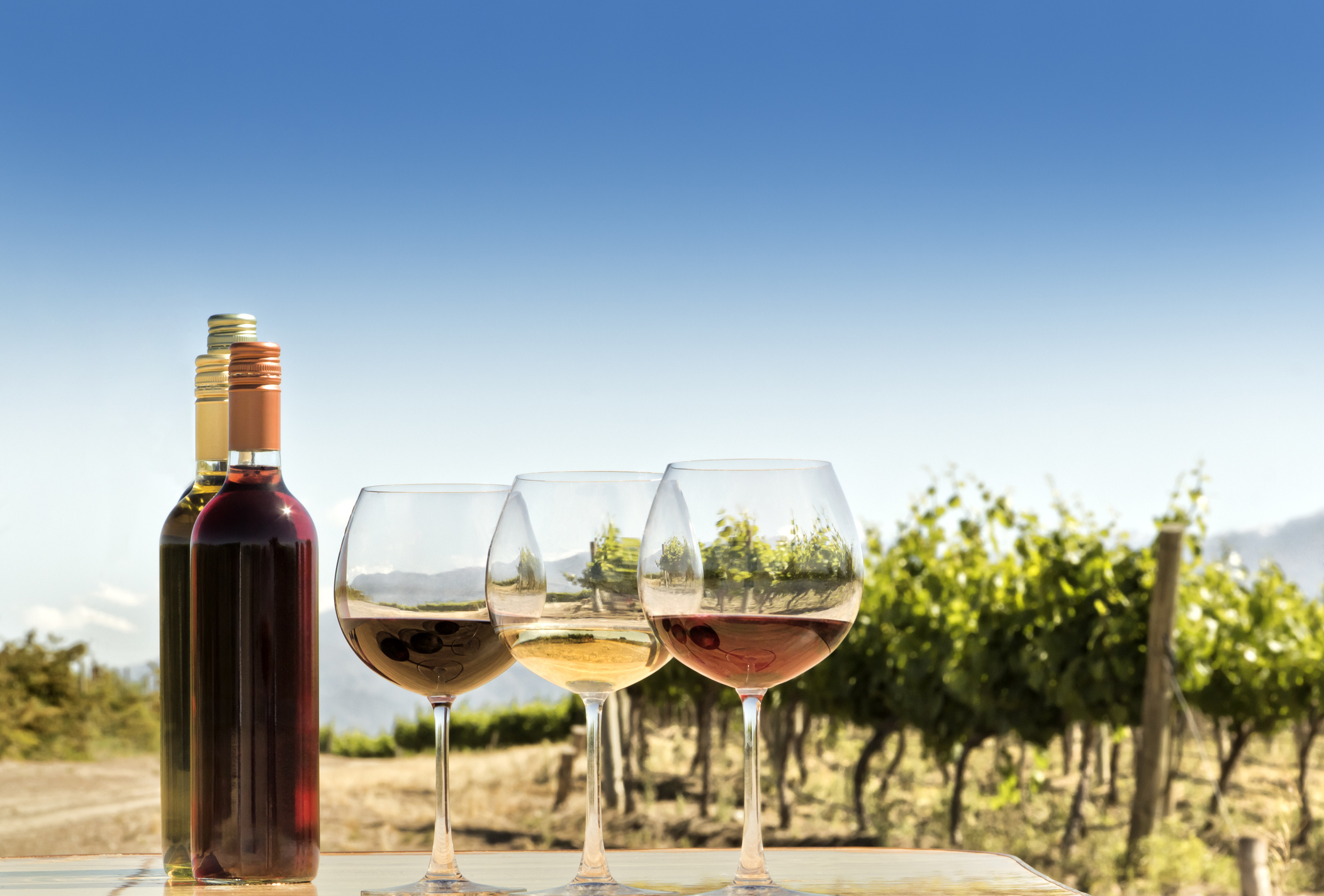 Craigmore permanent crop fund hits NZ$300m hard-cap