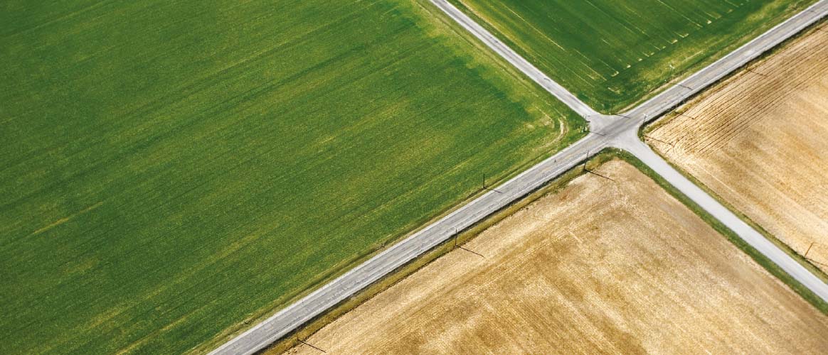 Organic ag finds itself at a crossroads