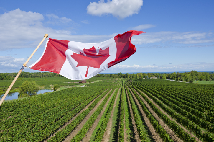 Bonnefield taps AGR exec for agribusiness fund | Agri Investor