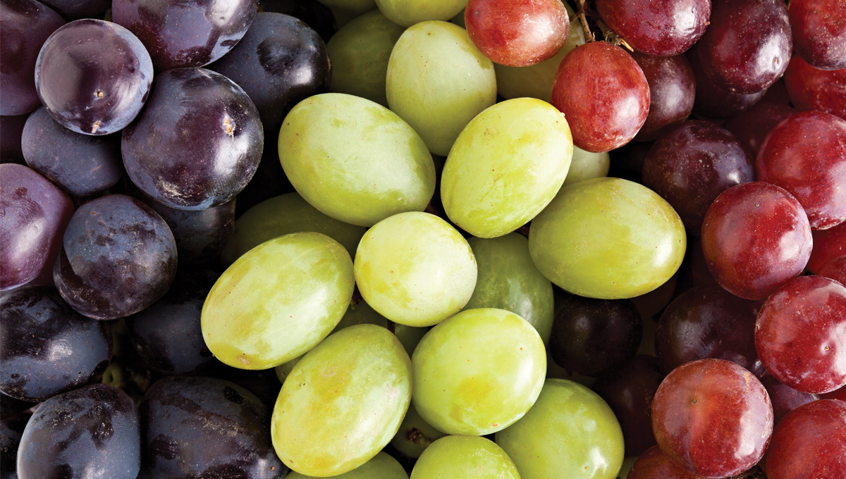 Briefing: Paine Schwartz teams with EQT and AM FRESH for genetics merger