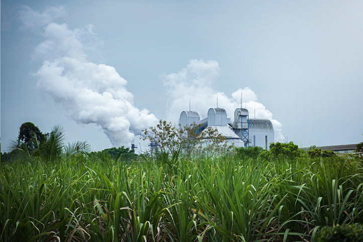 Renewable energy experience draws investors towards ag | Agri Investor