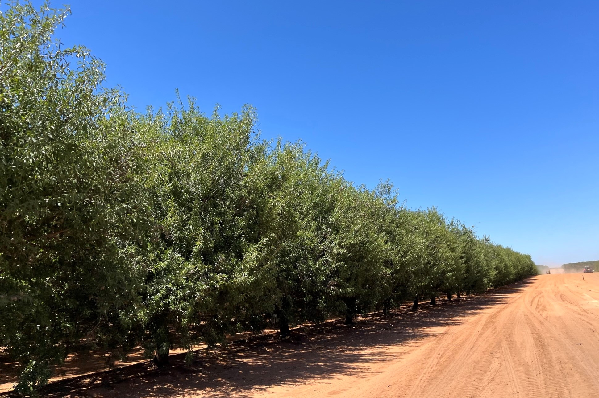 Warakirri Diversified Agriculture Fund passes A$100m AUM | Agri Investor