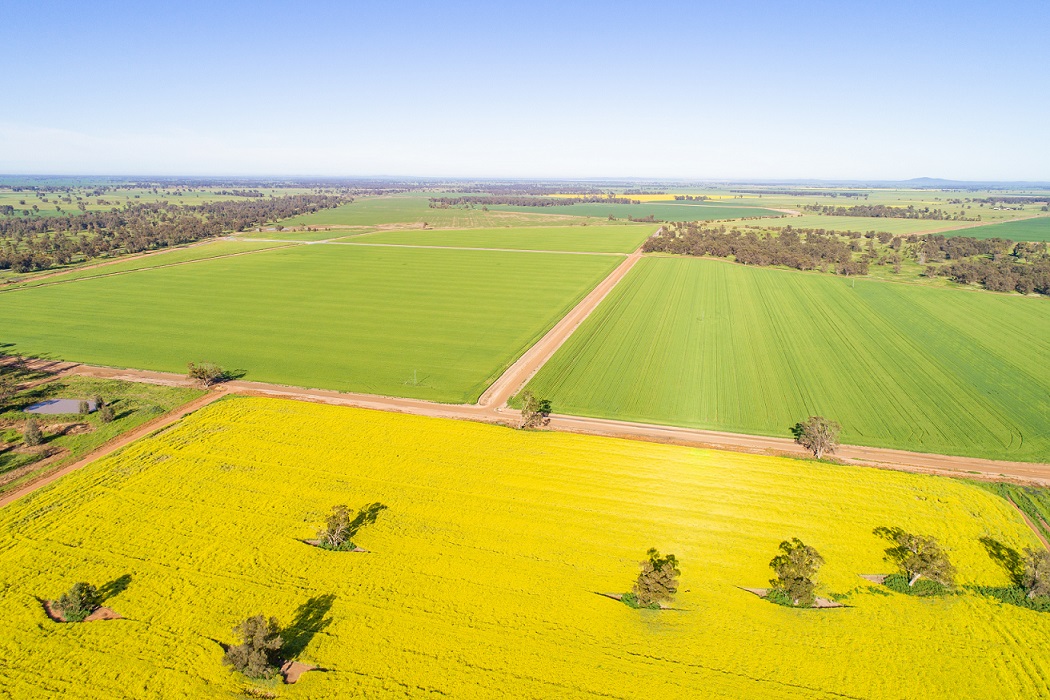 Foreign ownership of Australian farmland: 2023 statistics | Agri Investor