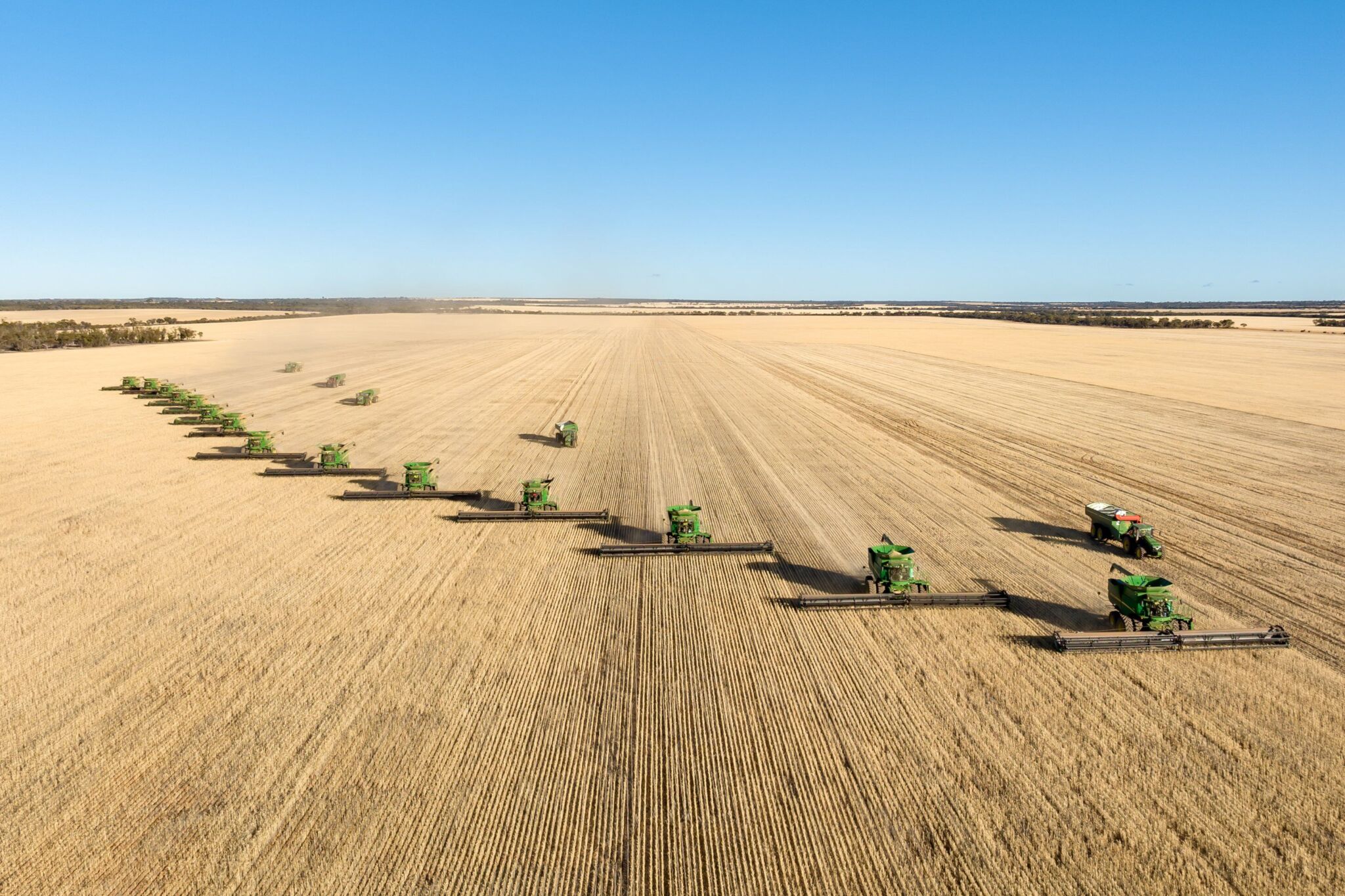 SALIC to sell Western Australia broadacre cropping portfolio