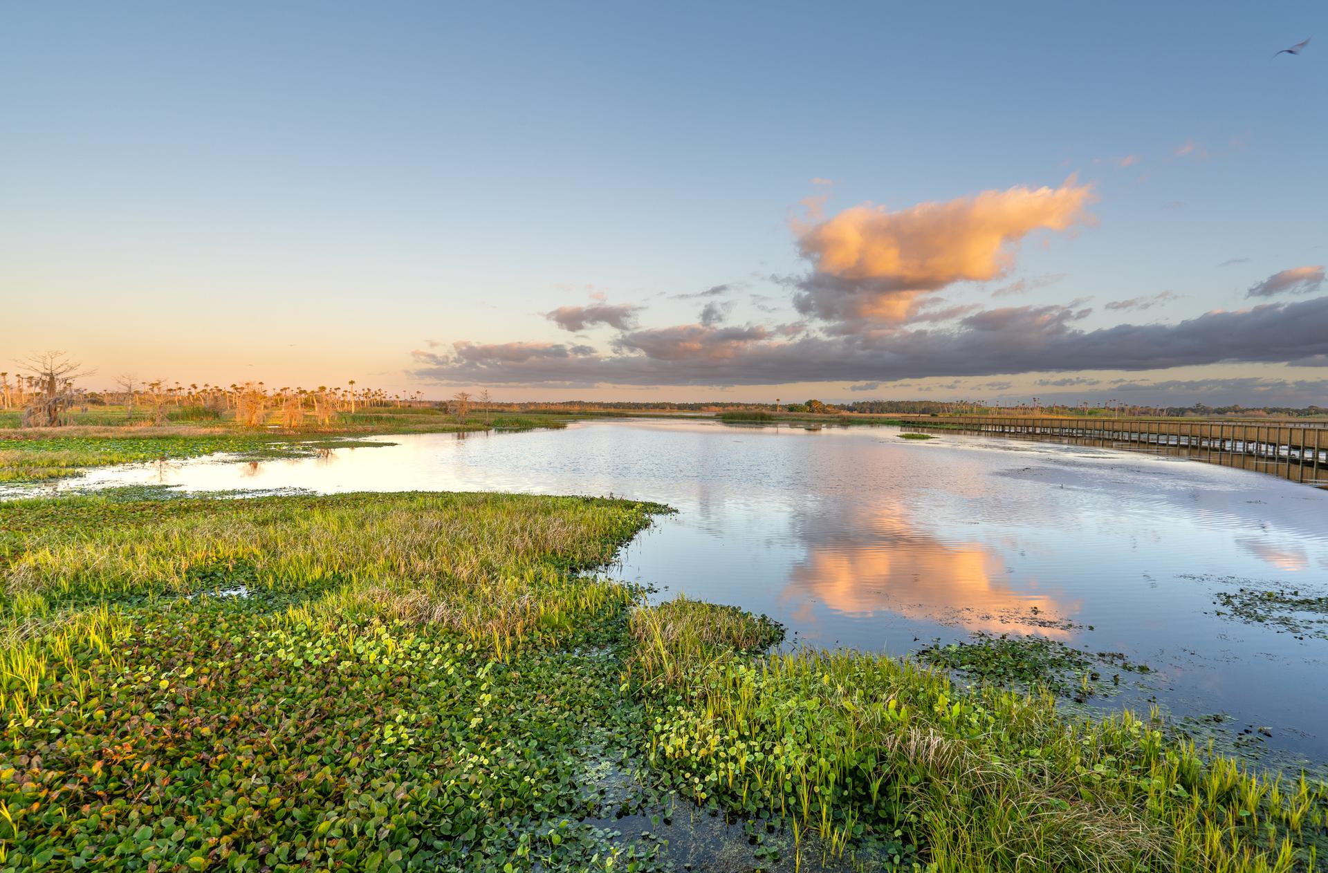 Field Notes: KKR’s holistic approach draws in ag; Murray-Darling Basin ...