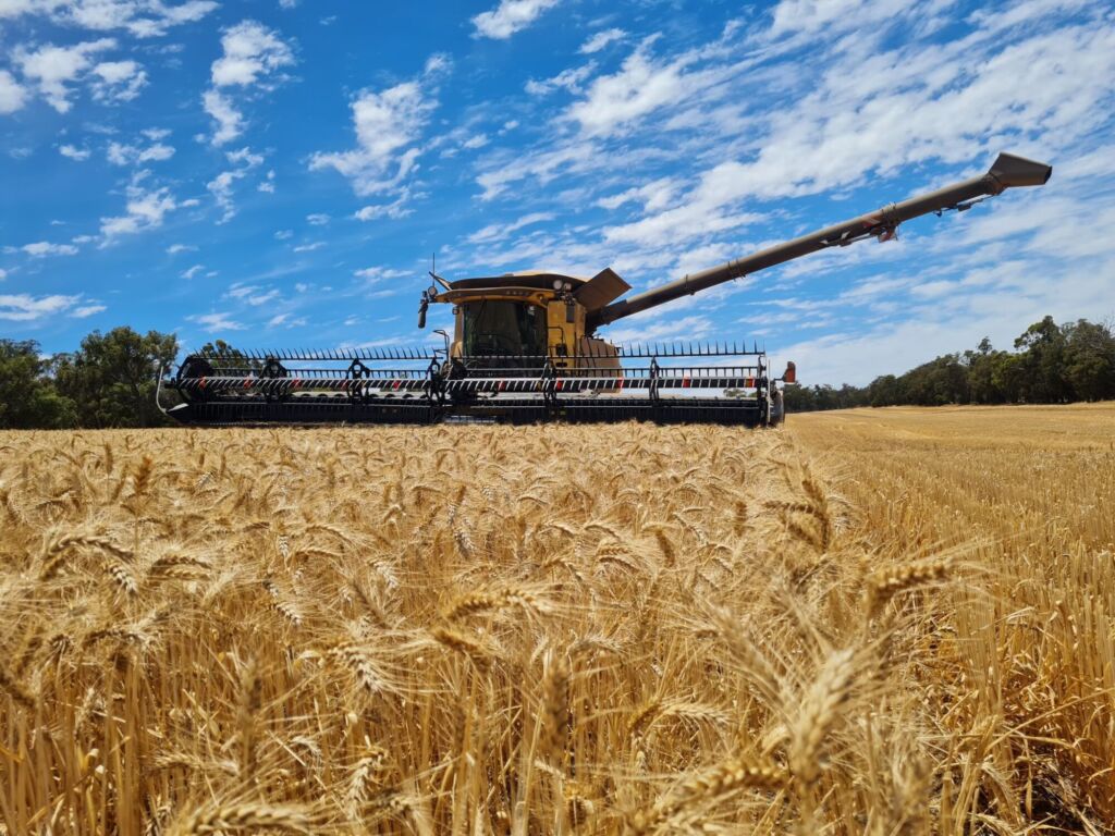 Interview: Fiera Comox CEO on Australian farmland and thinking long-term