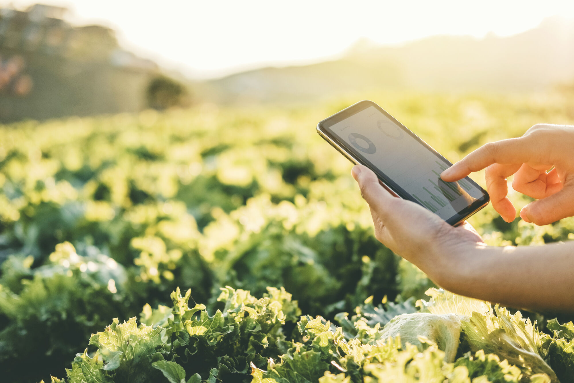 Australia’s Virescent Ventures targets A$200m for Fund II