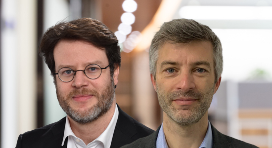 Ardian and aDryada recruit for nature-based solutions fund