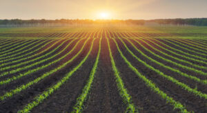 Field Notes: Australian farmland delivered its second negative return ...