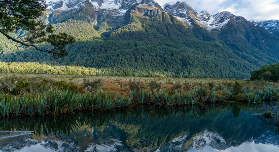 Field Notes: Fiera Comox forestry fund makes first investment; small ...