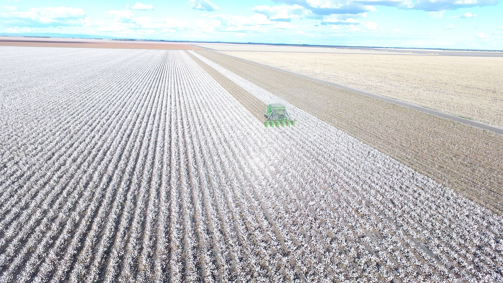 Proterra Investment Partners relists One Tree portfolio for sale | Agri ...