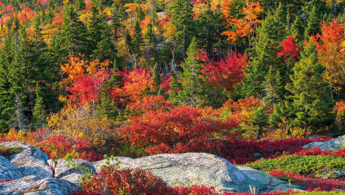 Manulife Investment Management on the fundamentals of sustainable ...