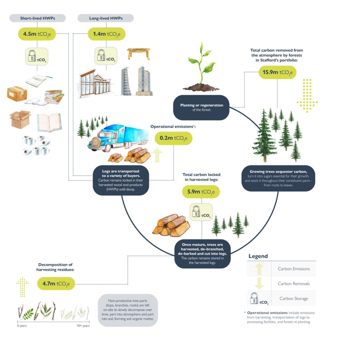 Briefing: Stafford Capital Partners’ portfolio delivers net-positive ...