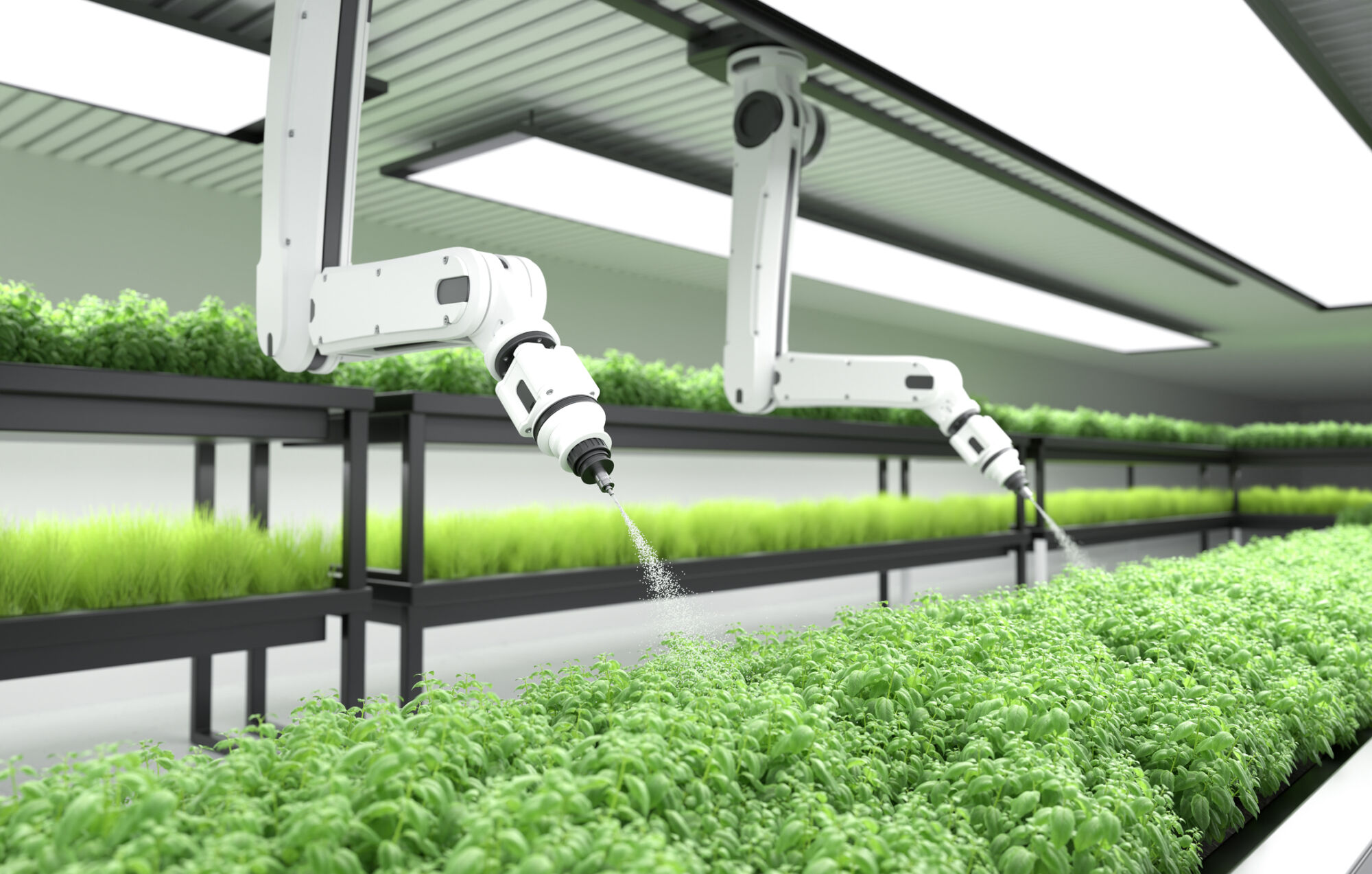 Artesian and Hort Innovation launch A$60m horticulture fund