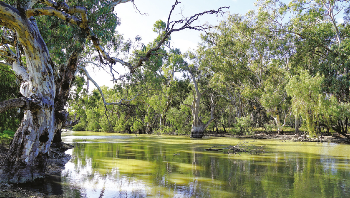 GO.FARM: Australia's agriculture is ripe for the picking