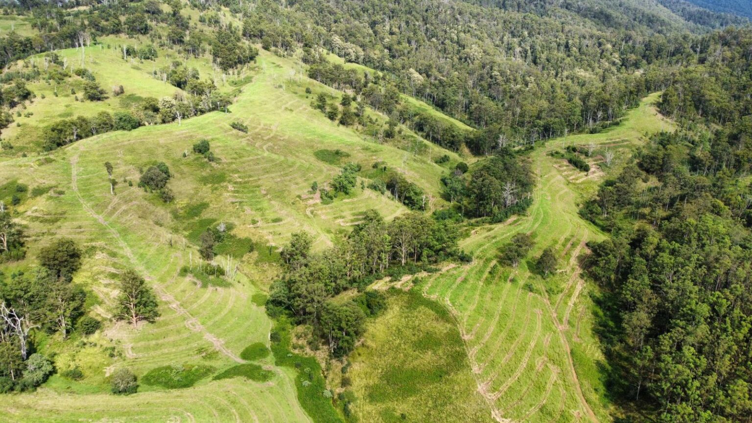 Inside the first biodiversity project in Australia’s Nature Repair Market