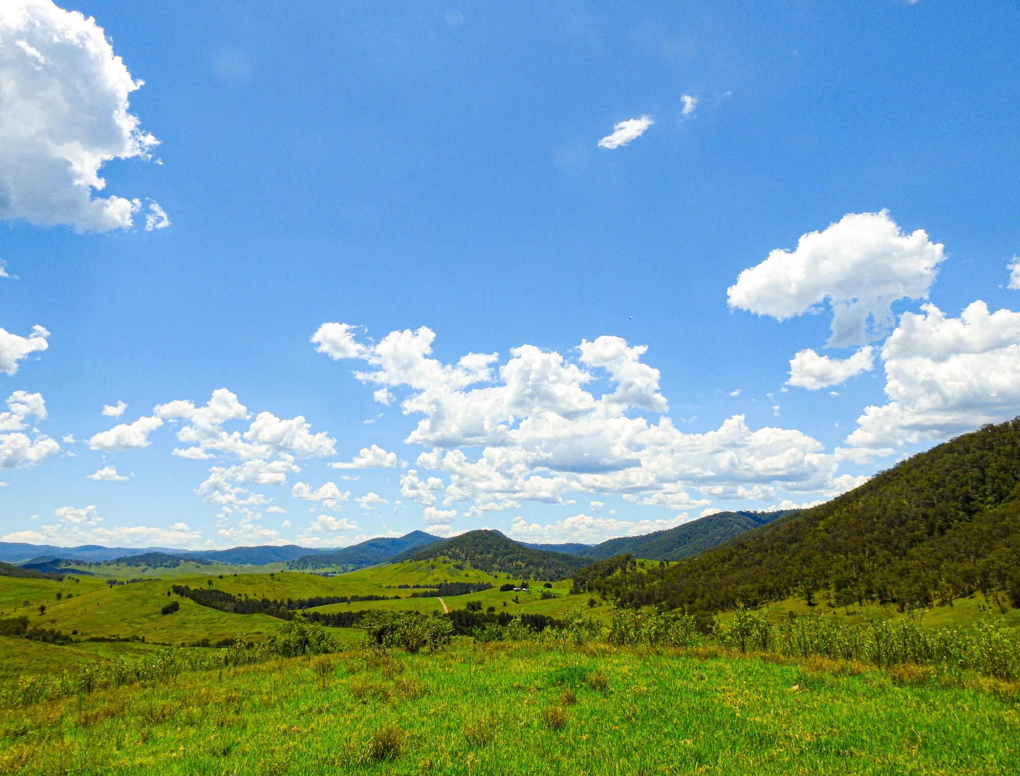 Inside the first biodiversity project in Australia’s Nature Repair Market