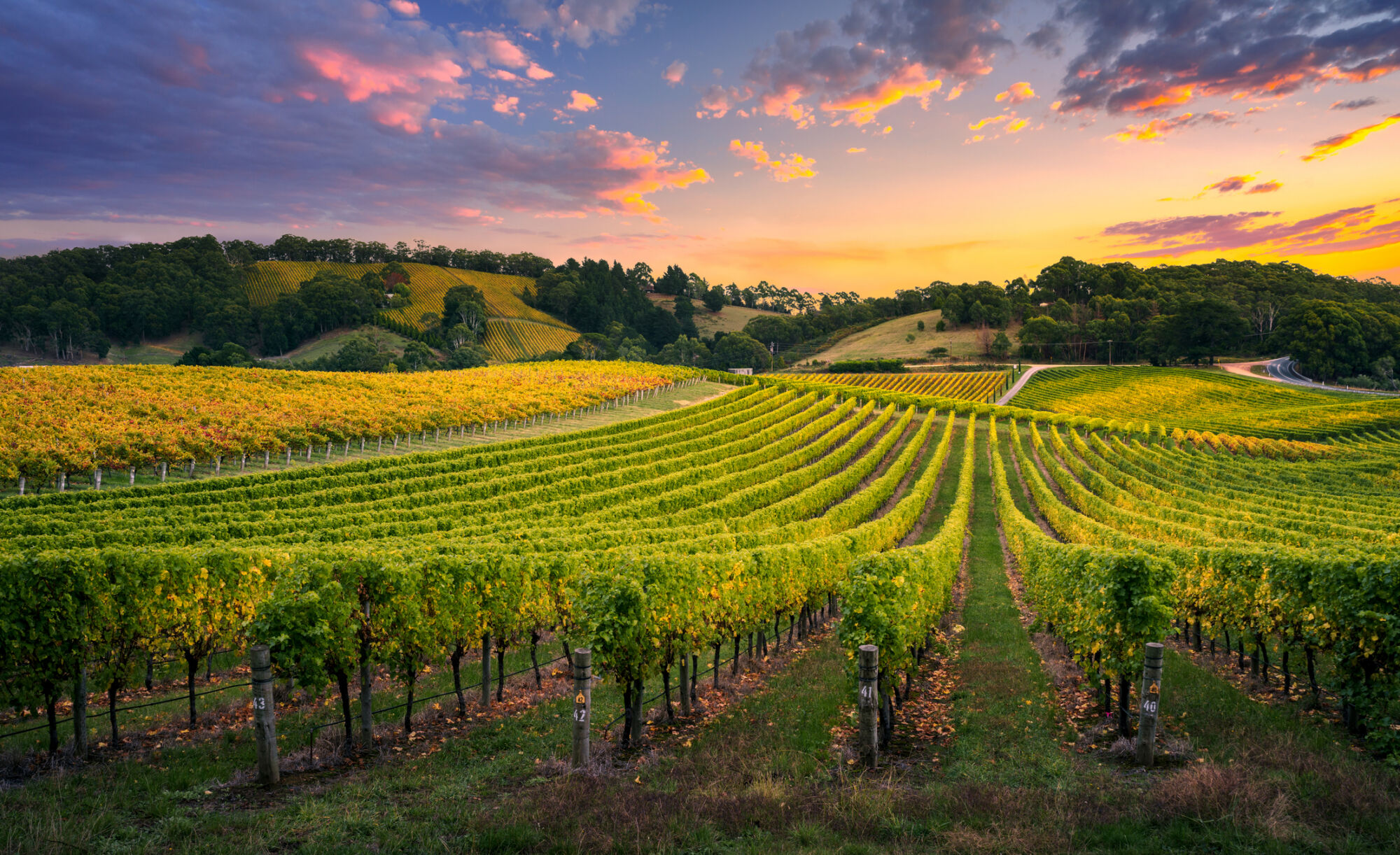 US farmland delivers -0.20% average total return in Q1 2026: NCREIF ...
