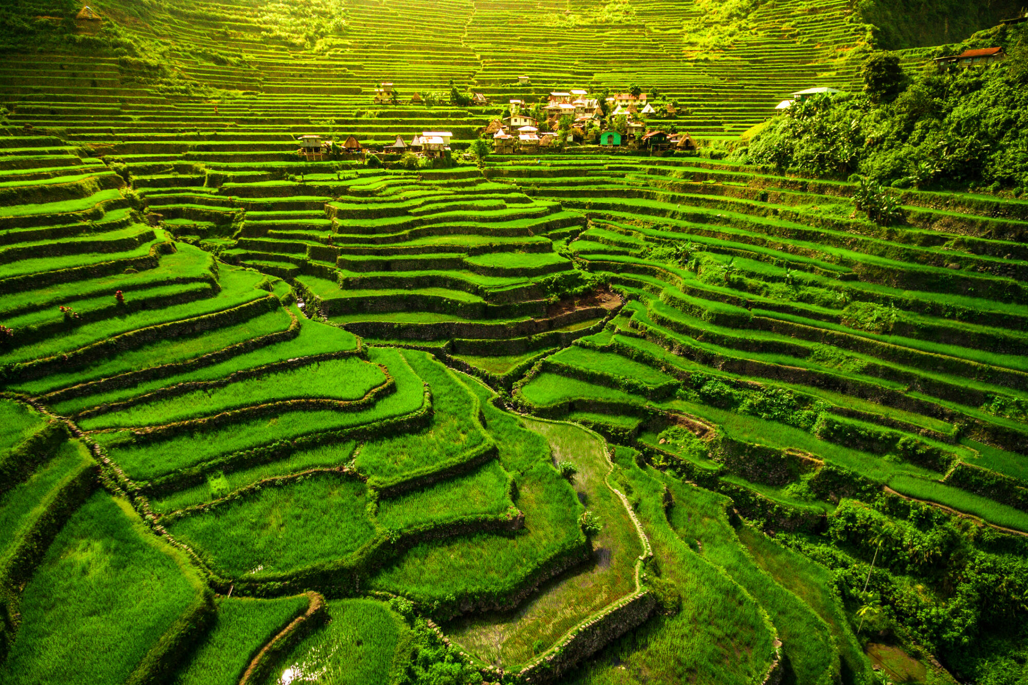 Maharlika Investment Corporation wants to 'catalyze' Philippines ...