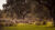 Field Notes: Spring Point's SLM exit shows catalytic capital's role in ...